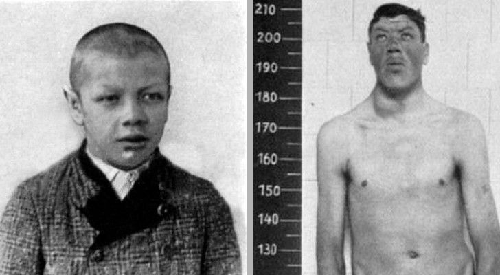 Adam Rainer - Horror d'Elite